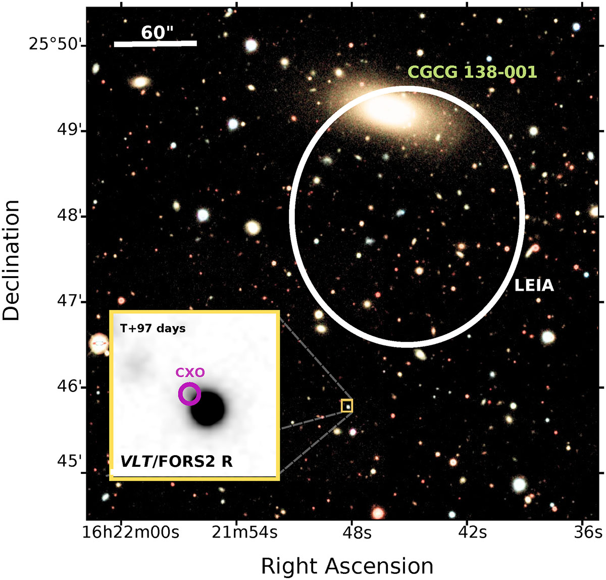 Exploring the connection between compact object mergers and fast X-ray ...